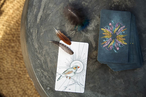 Birds Oracle Deck Reset Journey (PDF Download) - Golden Blue